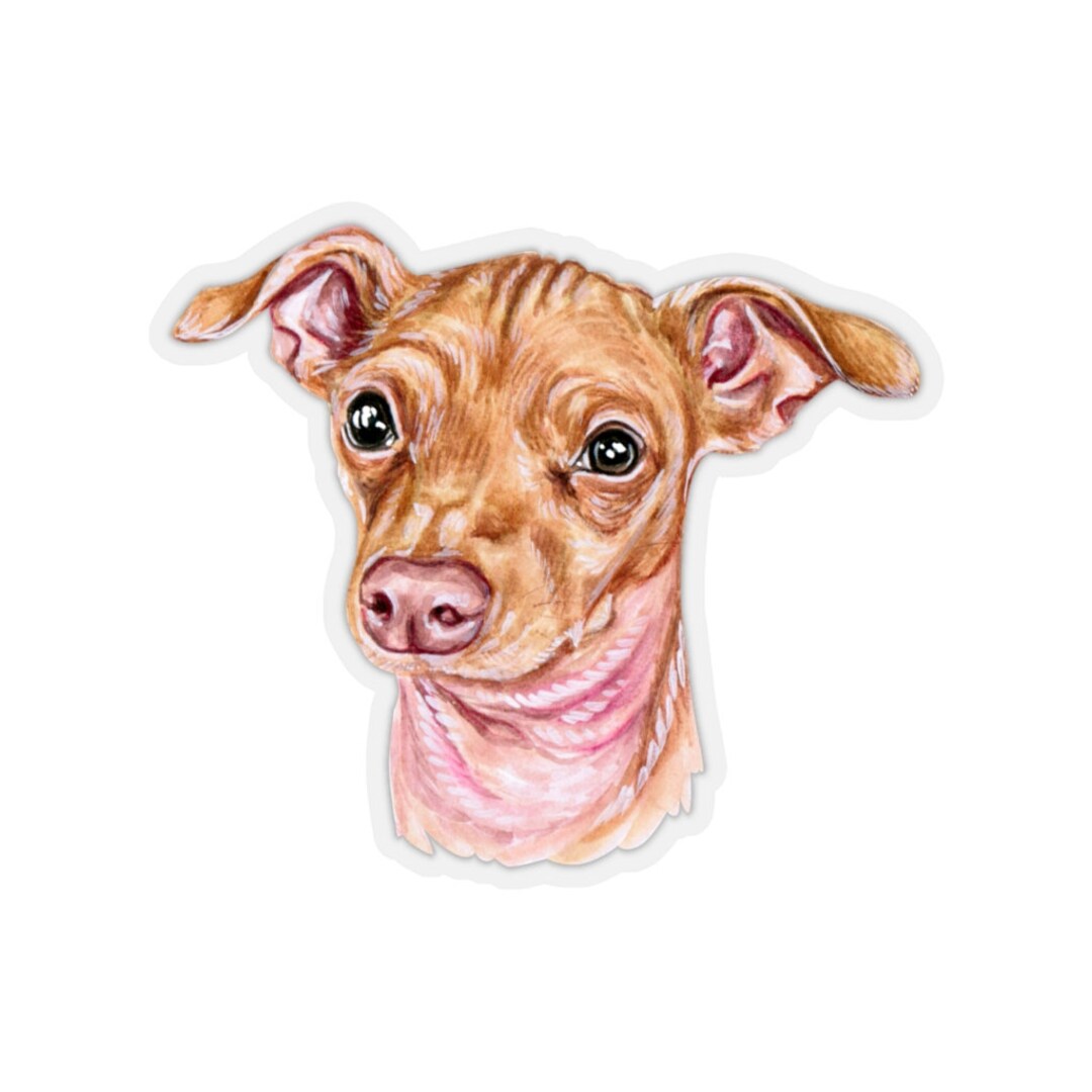 Chiweenie Sticker Decal~chiweenie Gifts - Etsy