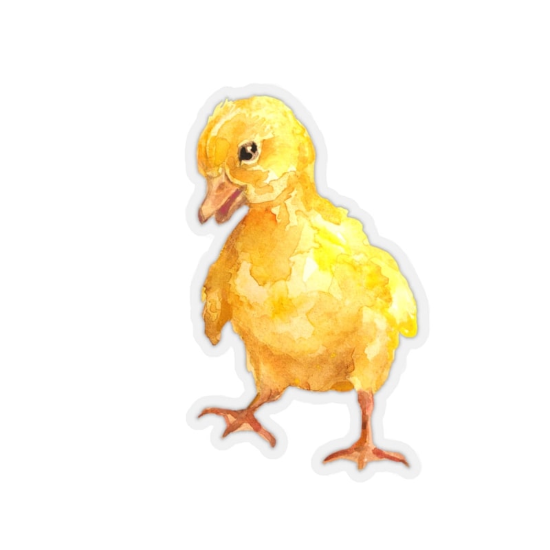 Ugly Duckling - Etsy