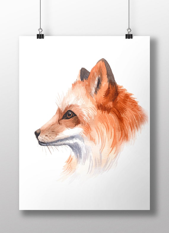 Fox Face Profile