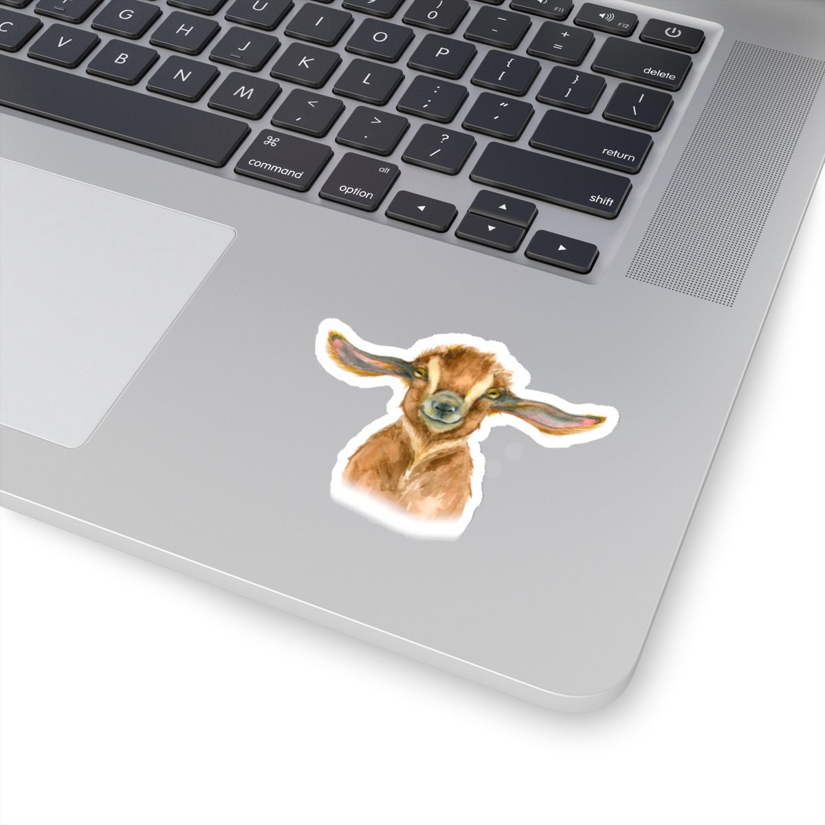 Baby Goat Stickerwatercolor Kiss-cut Laptop Decalclear Back - Etsy