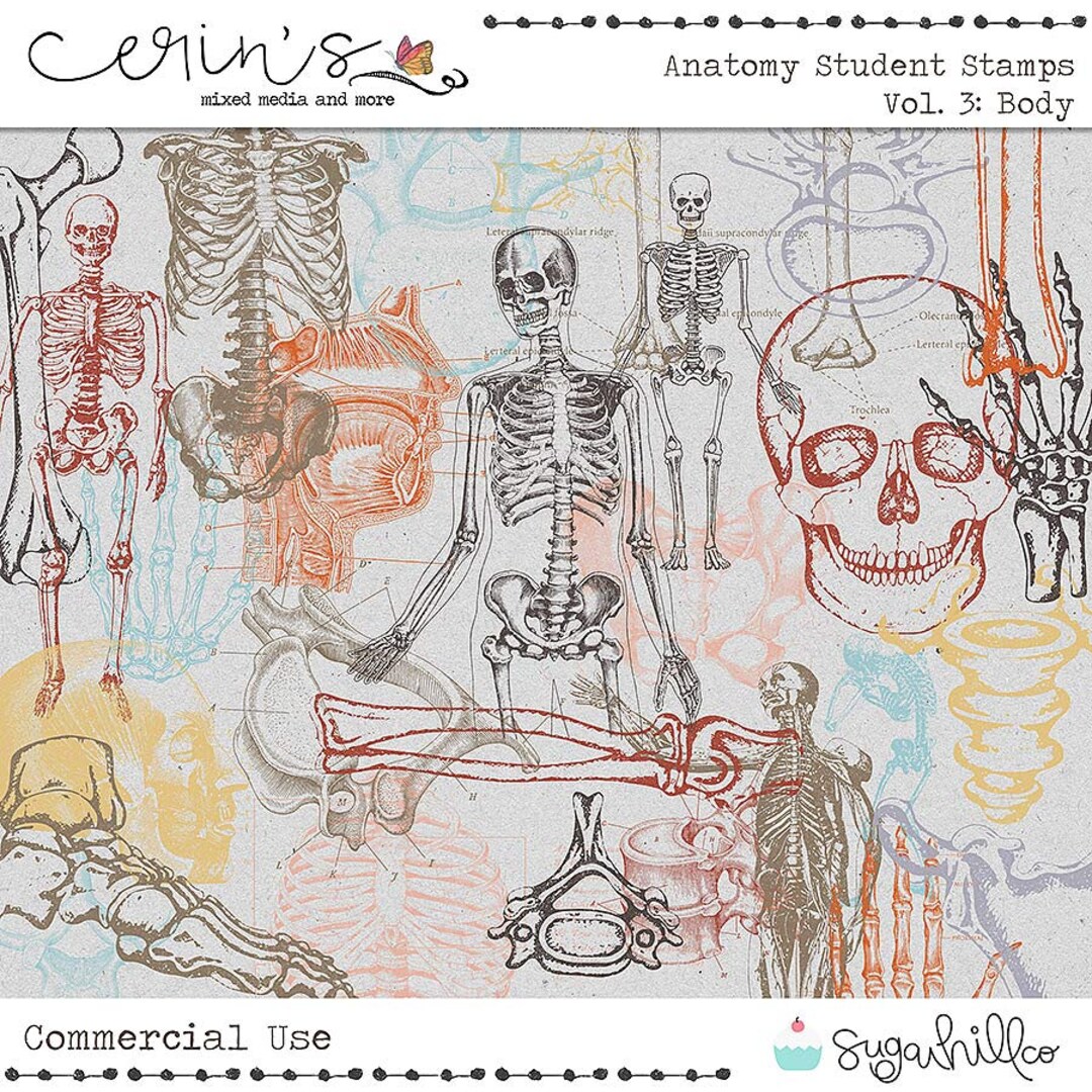 Anatomy Student Stamps 3~digital CU Organs~art Journal Stamps~scrapbook ...