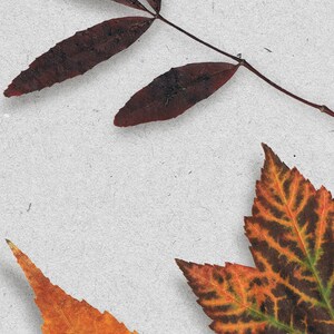 Digital Fall Leaves~autumn Leaves~digital Elements~high Quality ...