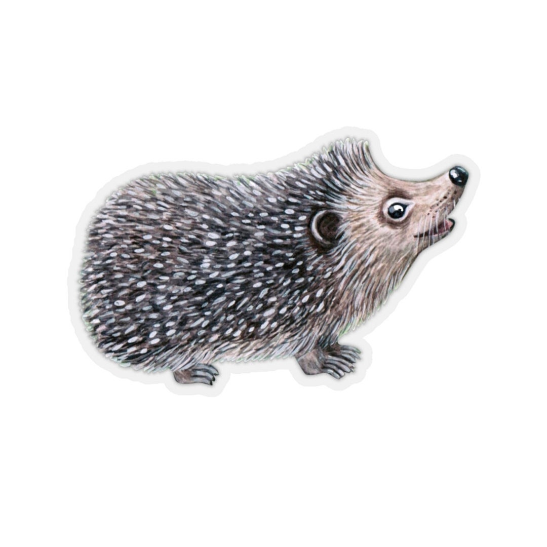 Hedgehog Stickerwatercolor Kiss-cut Hedgehog Laptop Decalclear Back ...