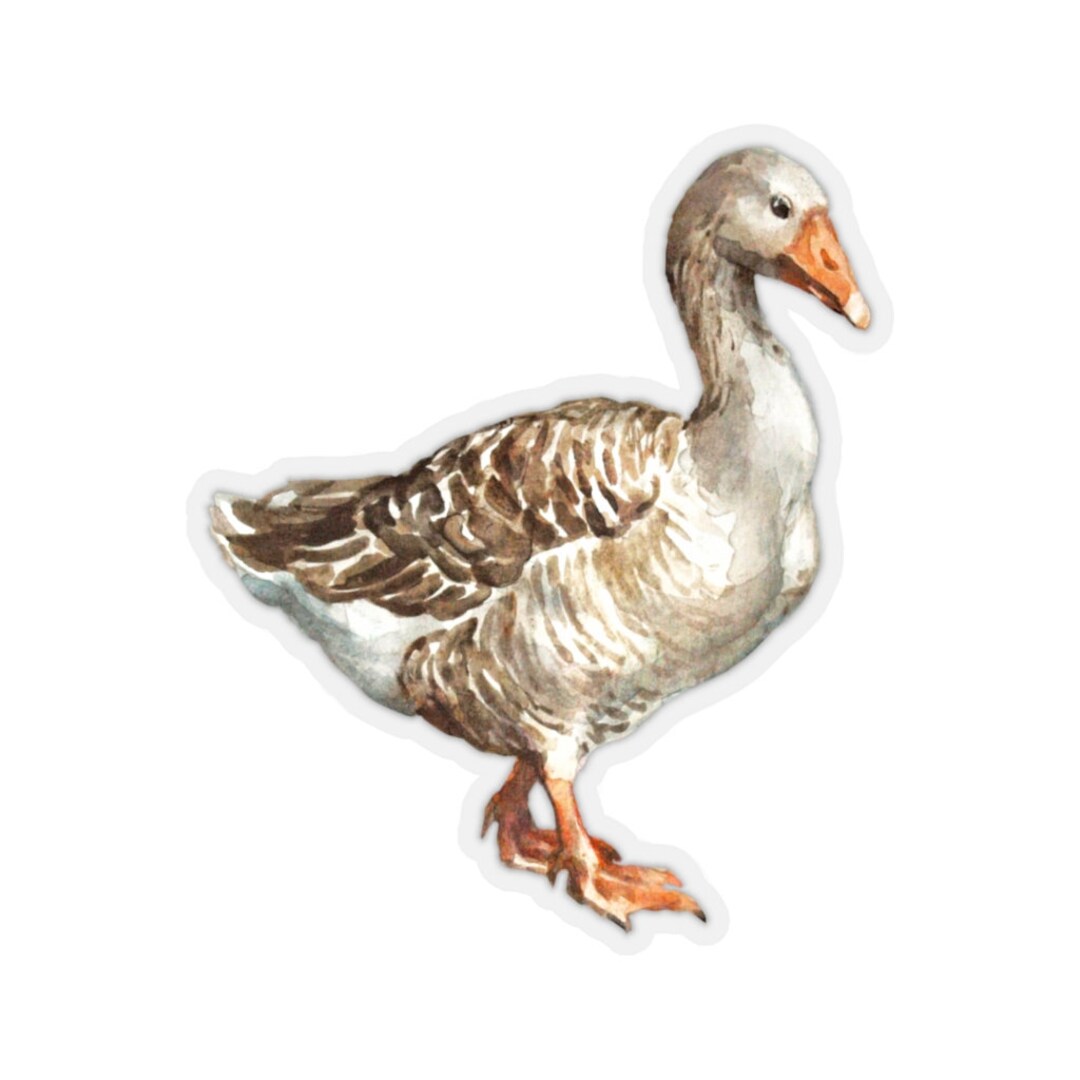 Goose Sticker~watercolor Kiss-cut Goose Laptop Decal~clear Back Sticker ...