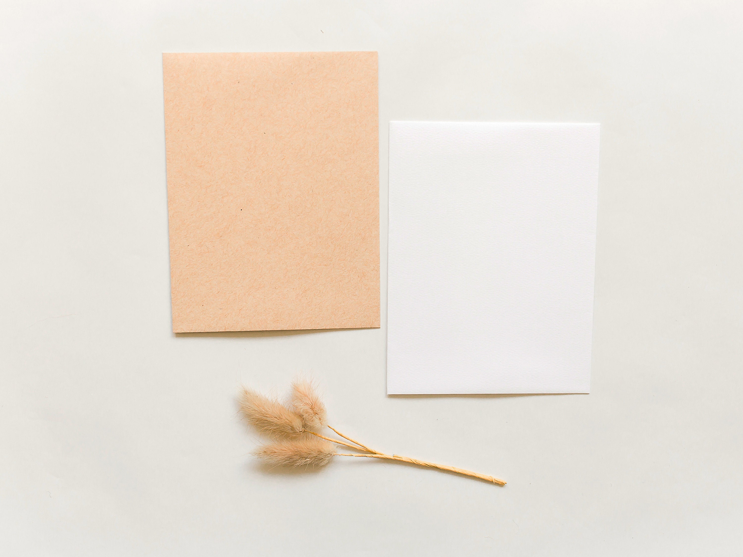 Watercolor Mushroom Mixed Note Card Setboho Blank Notecards 8 | Etsy