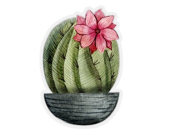 Texican Distressed Texas and Mexico Flag Letters Cactus Kiss-cut ...