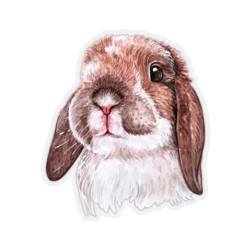 Fluffy Rabbit Stickers - Etsy