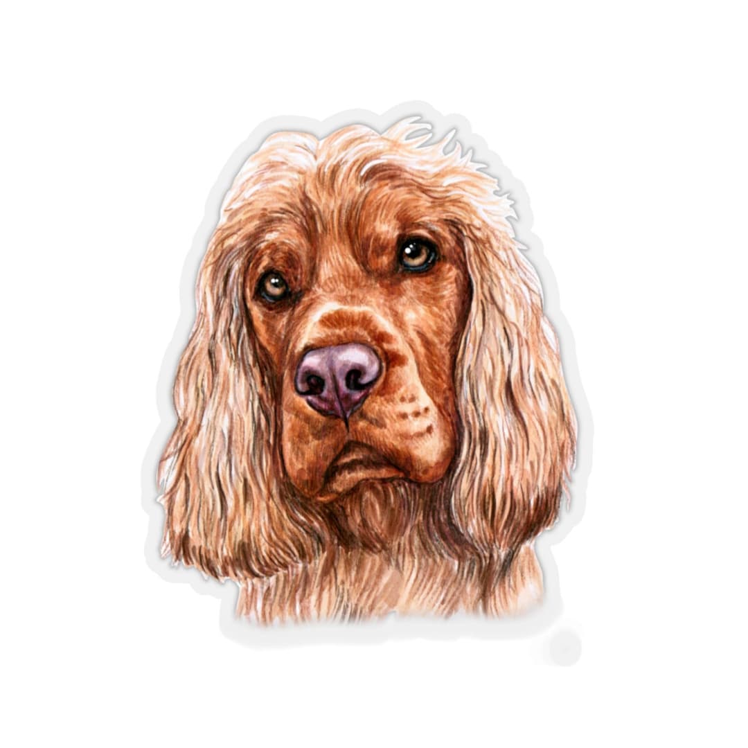 English Cocker Spaniel Sticker~hand Drawn Dogs Kiss-cut Decal~pretty ...