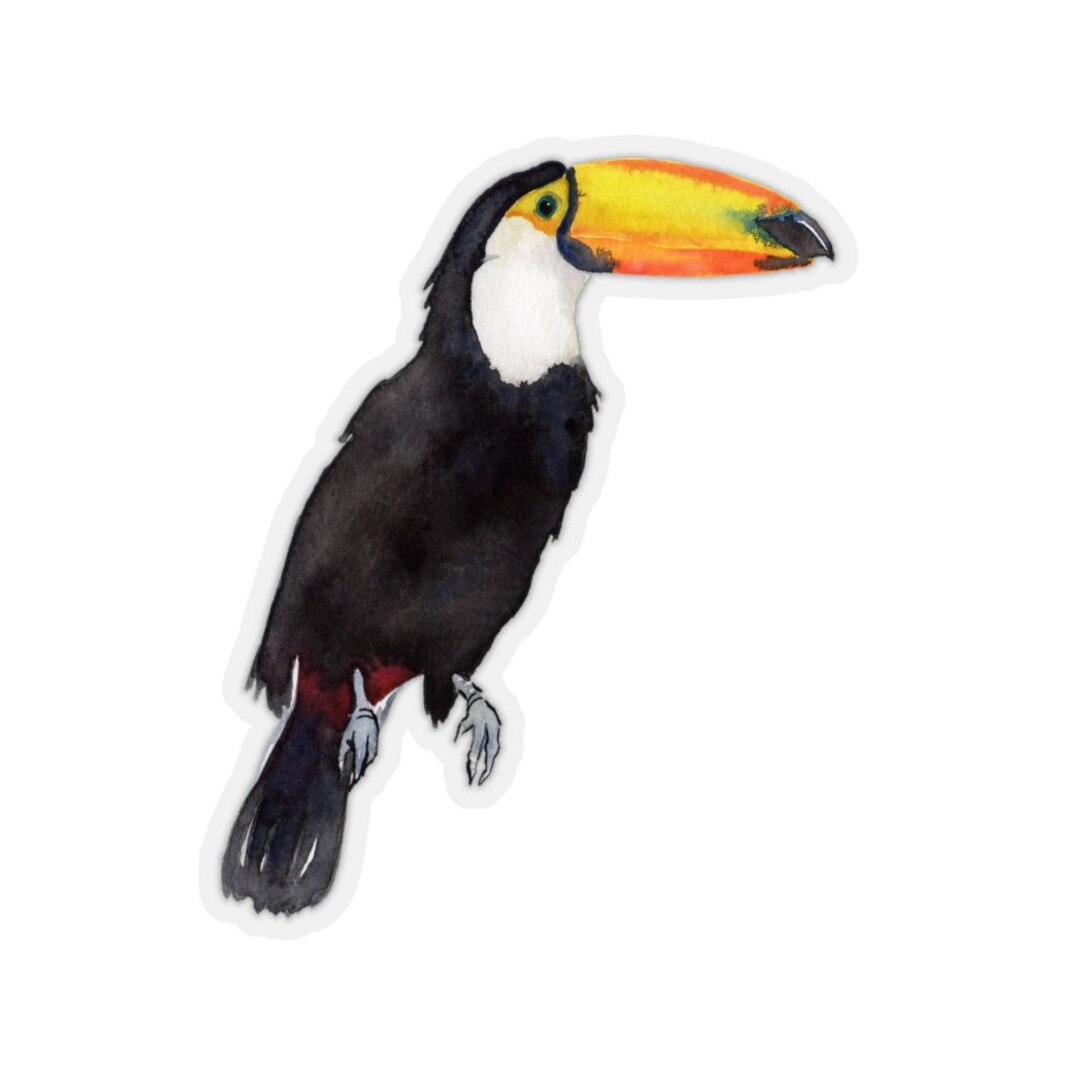 Toucan Sticker~hand Drawn Birds Kiss-cut Decal~pretty Pet Accessories ...