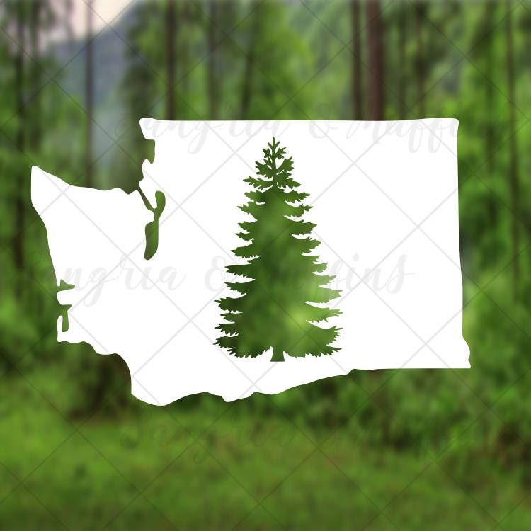 Washington State Evergreen tree car window laptop tablet | Etsy