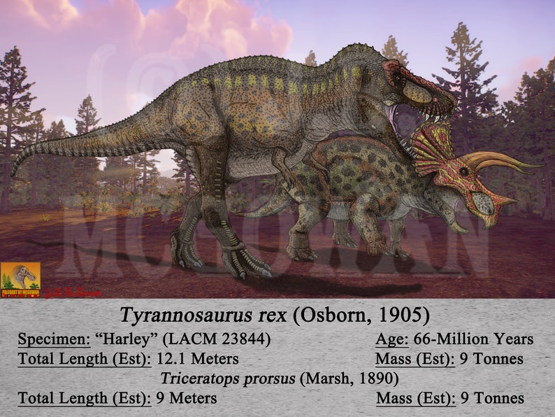 Tyrannosaurus Rex: the Tyrannical Monarchs of the Dinosaurs - Etsy