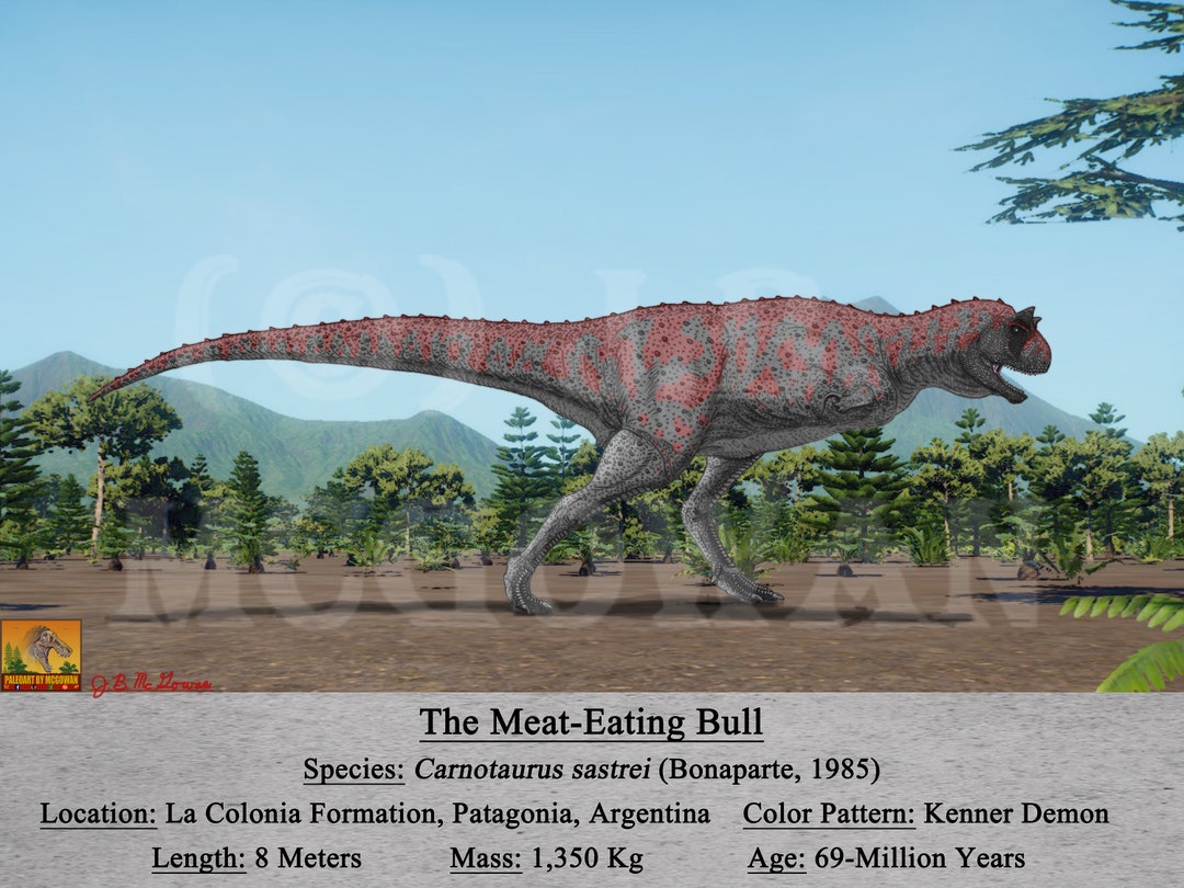 The Meat Eating Bull - Etsy