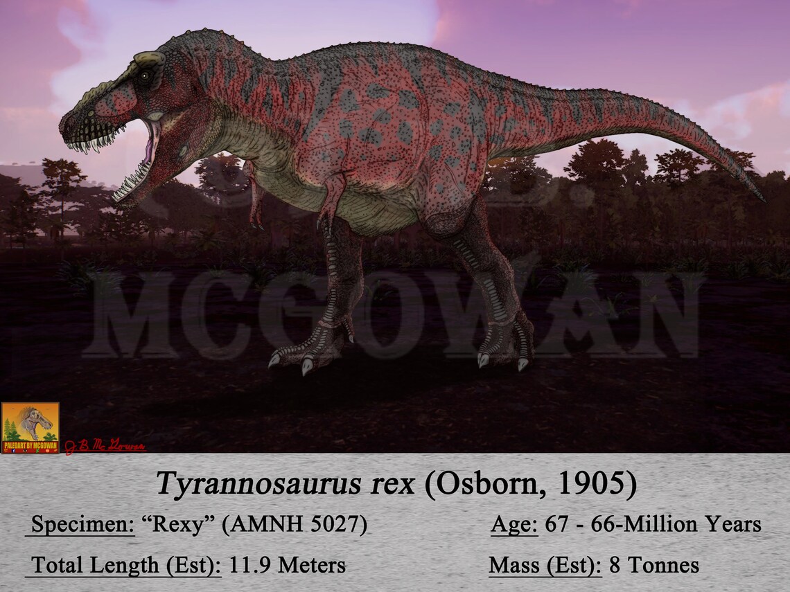 Tyrannosaurus Rex: the Tyrannical Monarchs of the Dinosaurs - Etsy