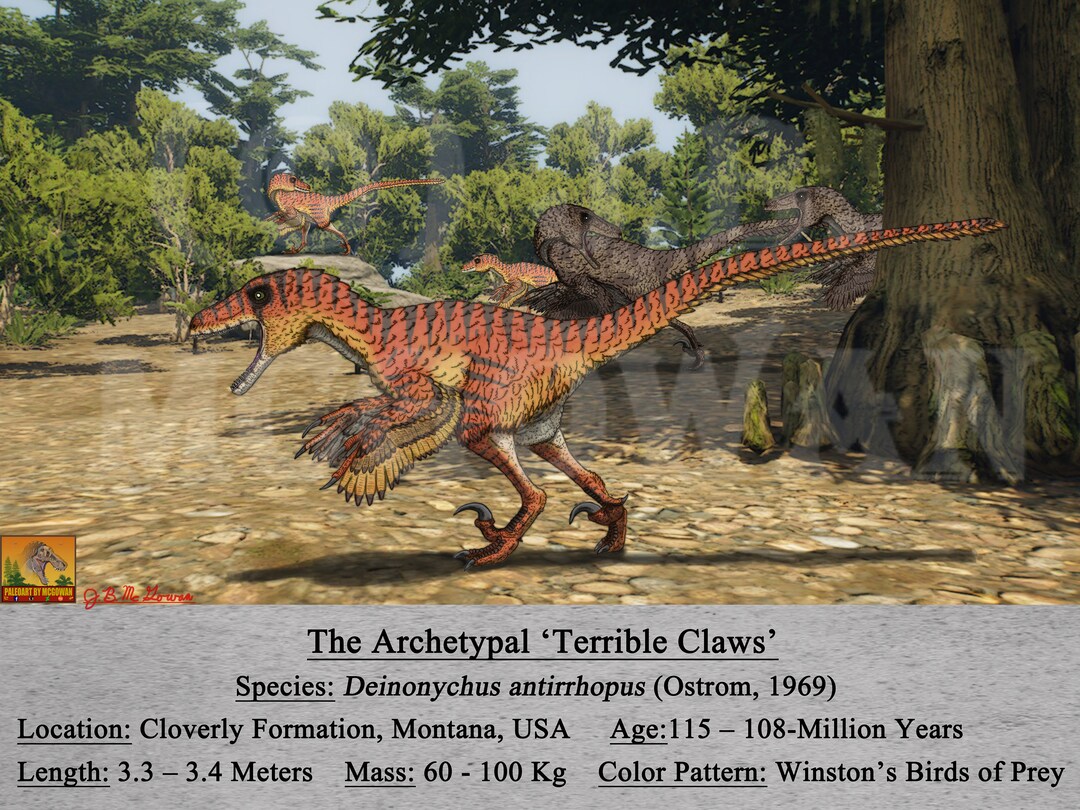 The Archetypal 'terrible Claws' - Etsy