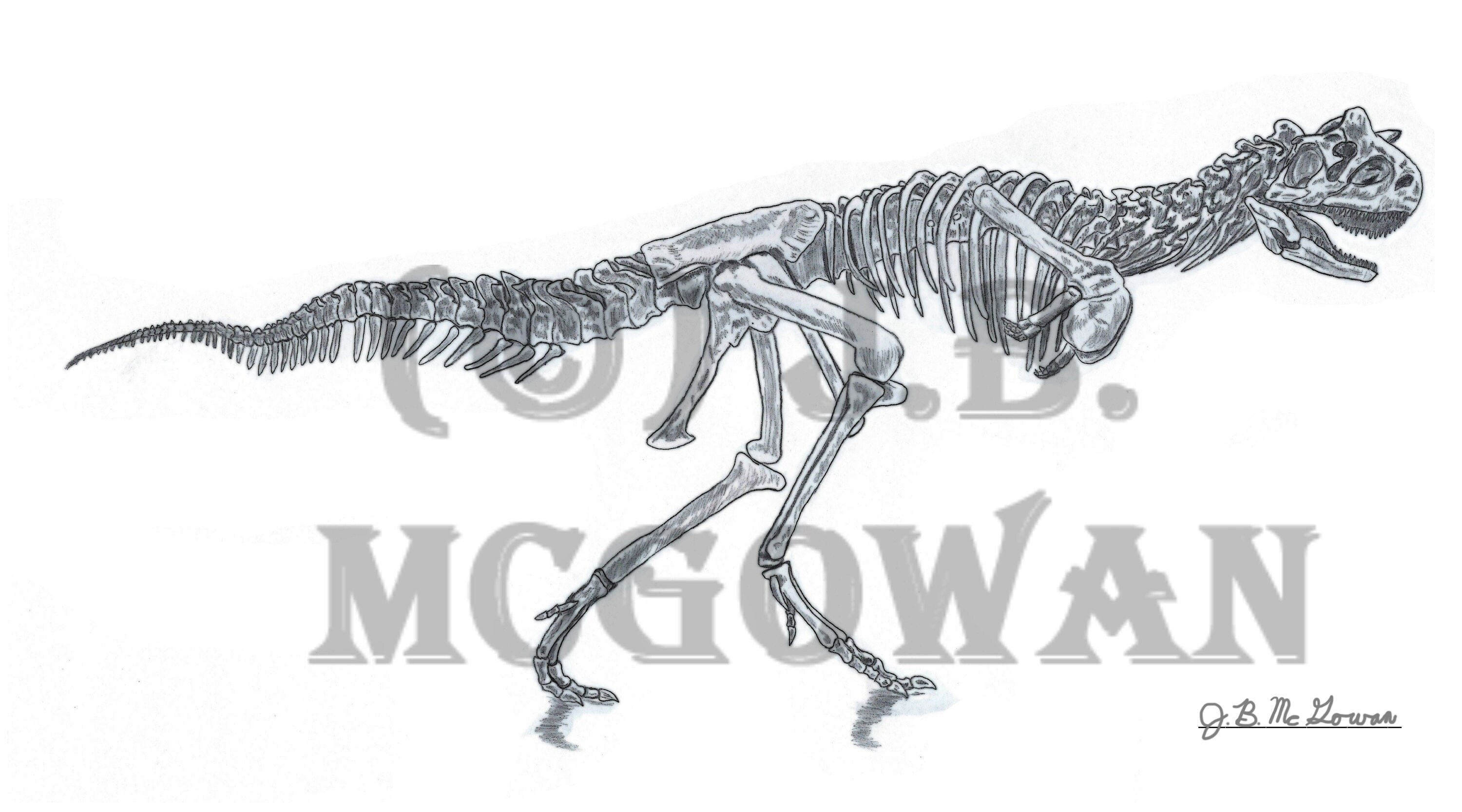Carnotaurus Skeleton