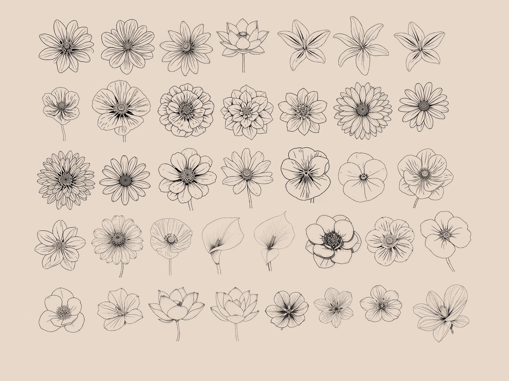 100 Hand Drawn Flower SVG Bundle, Floral Clipart, Botanical Plant Svg ...