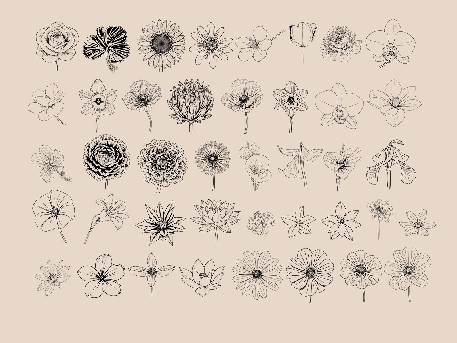 100 Hand Drawn Flower SVG Bundle, Floral Clipart, Botanical Plant Svg ...
