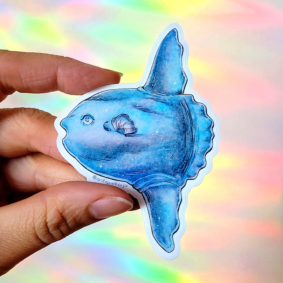 Molamola Laminated Vinyl Sticker - Etsy