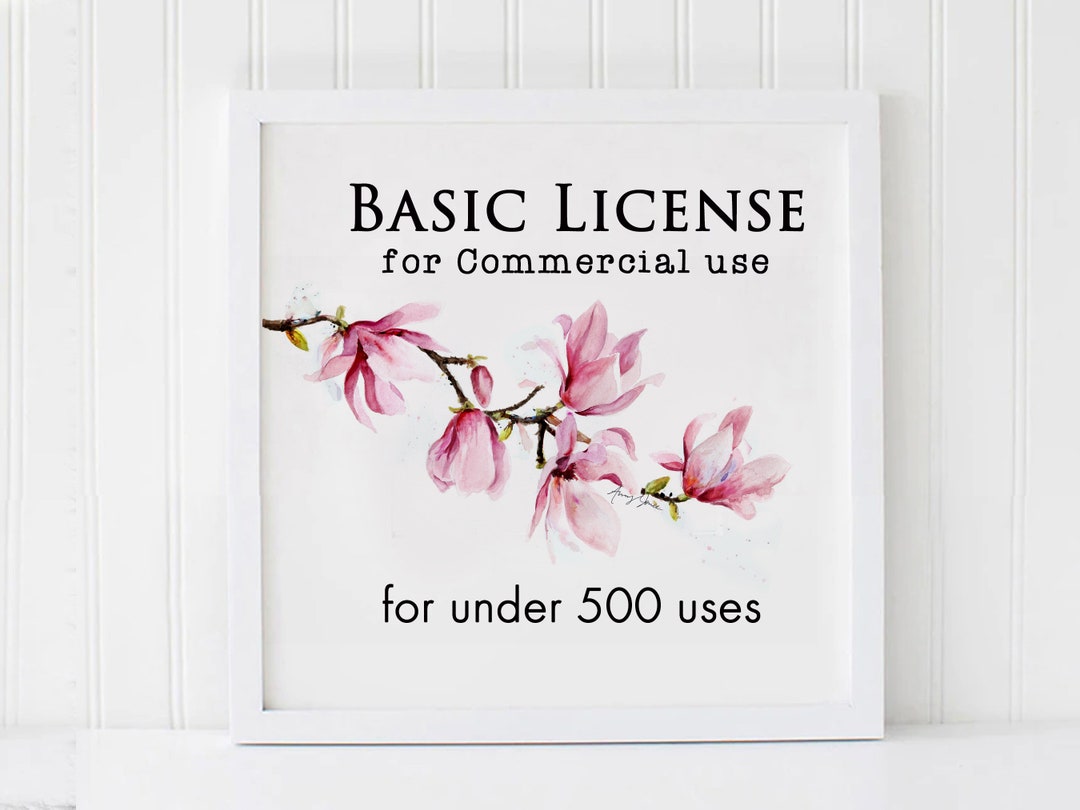 BASIC COMMERCIAL LICENSE for One Digital Product Design for - Etsy