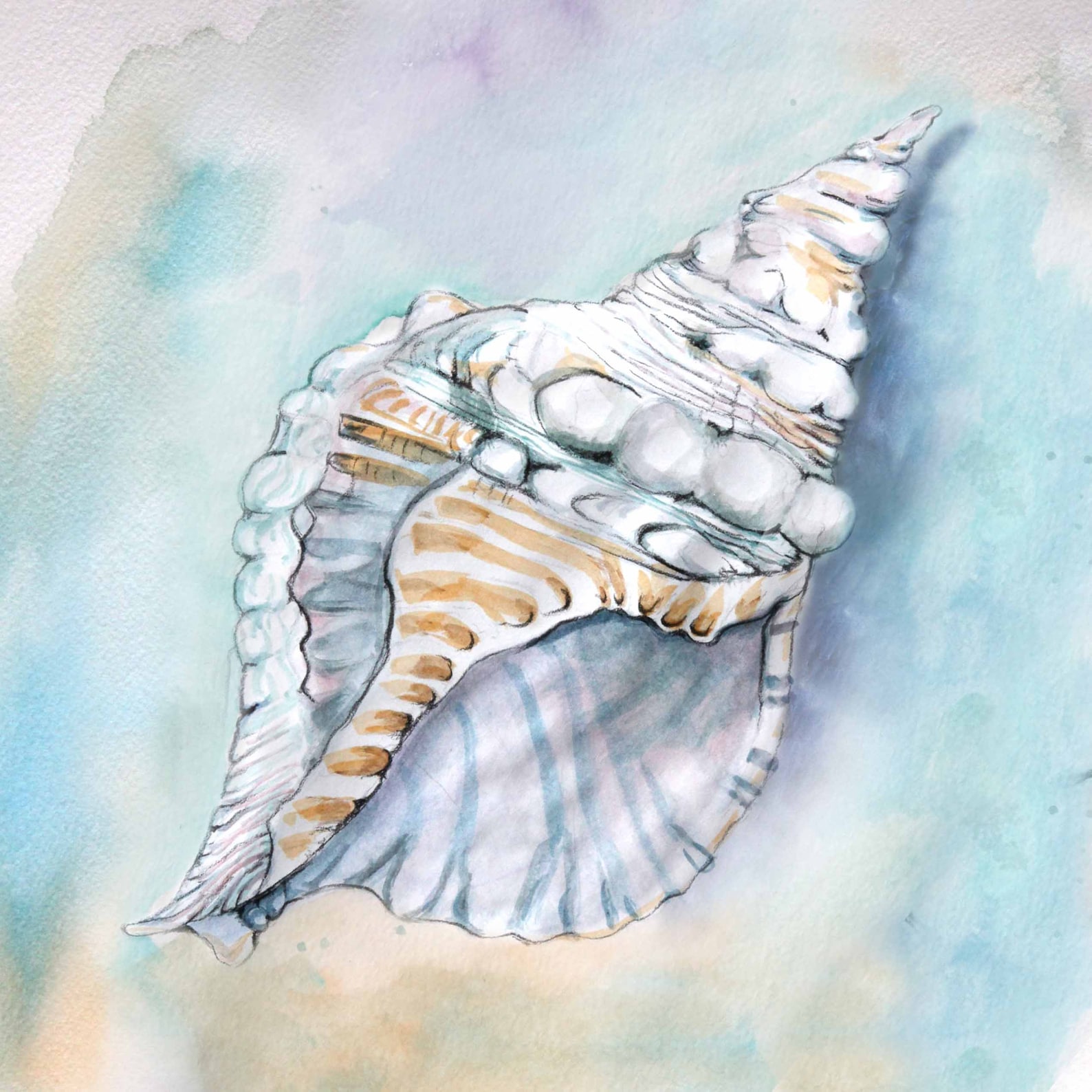 Ocean Shells Watercolor Collection Digital Download Beach - Etsy