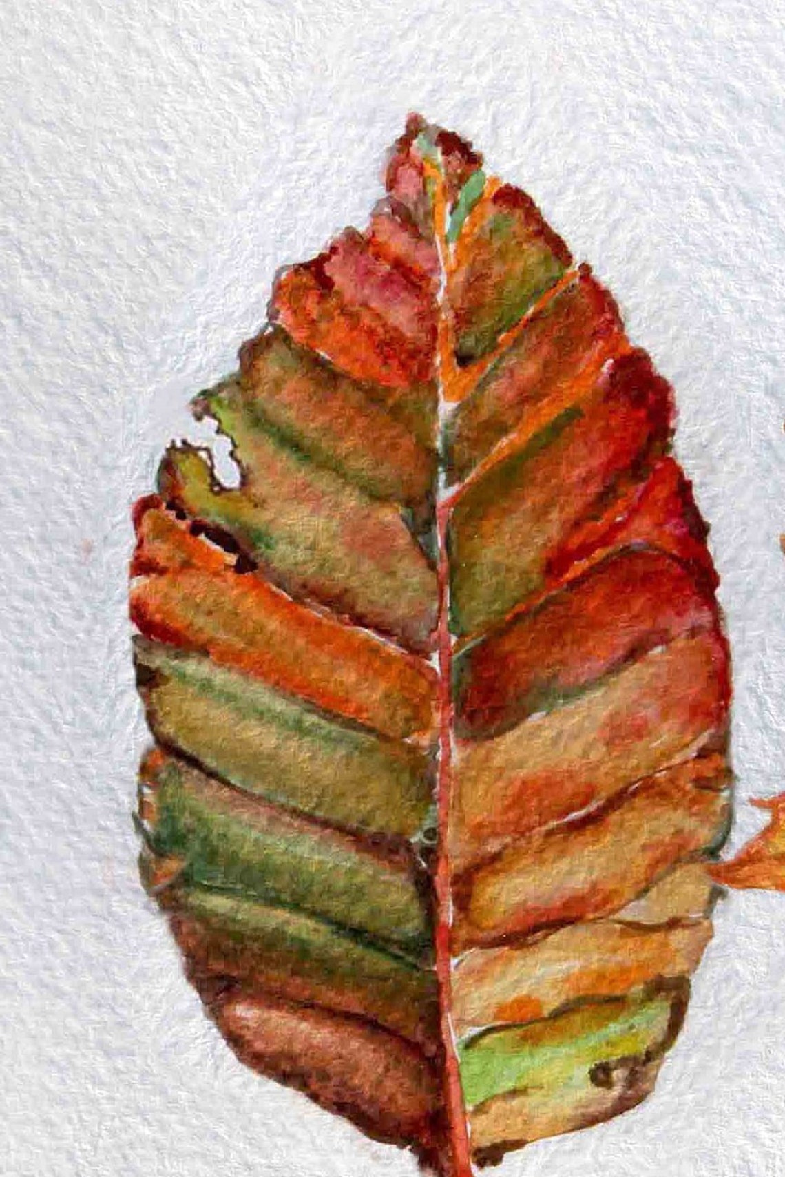 Watercolor Fall Leaves Botanical prints | Etsy