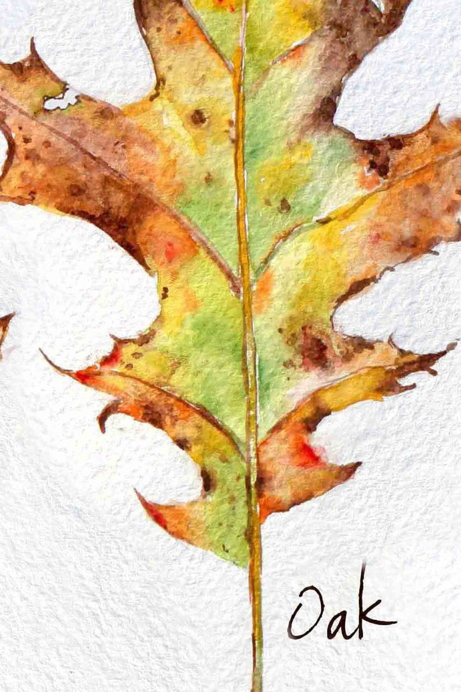 Watercolor Fall Leaves Botanical prints | Etsy