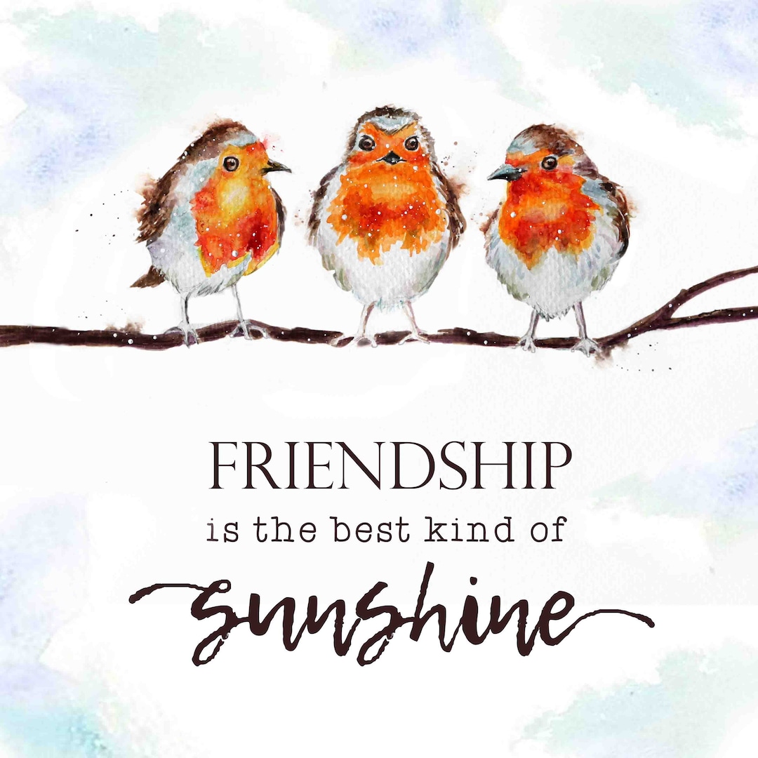 Bird Friends- Watercolor Robins on Branch With Inspirational Friendship ...