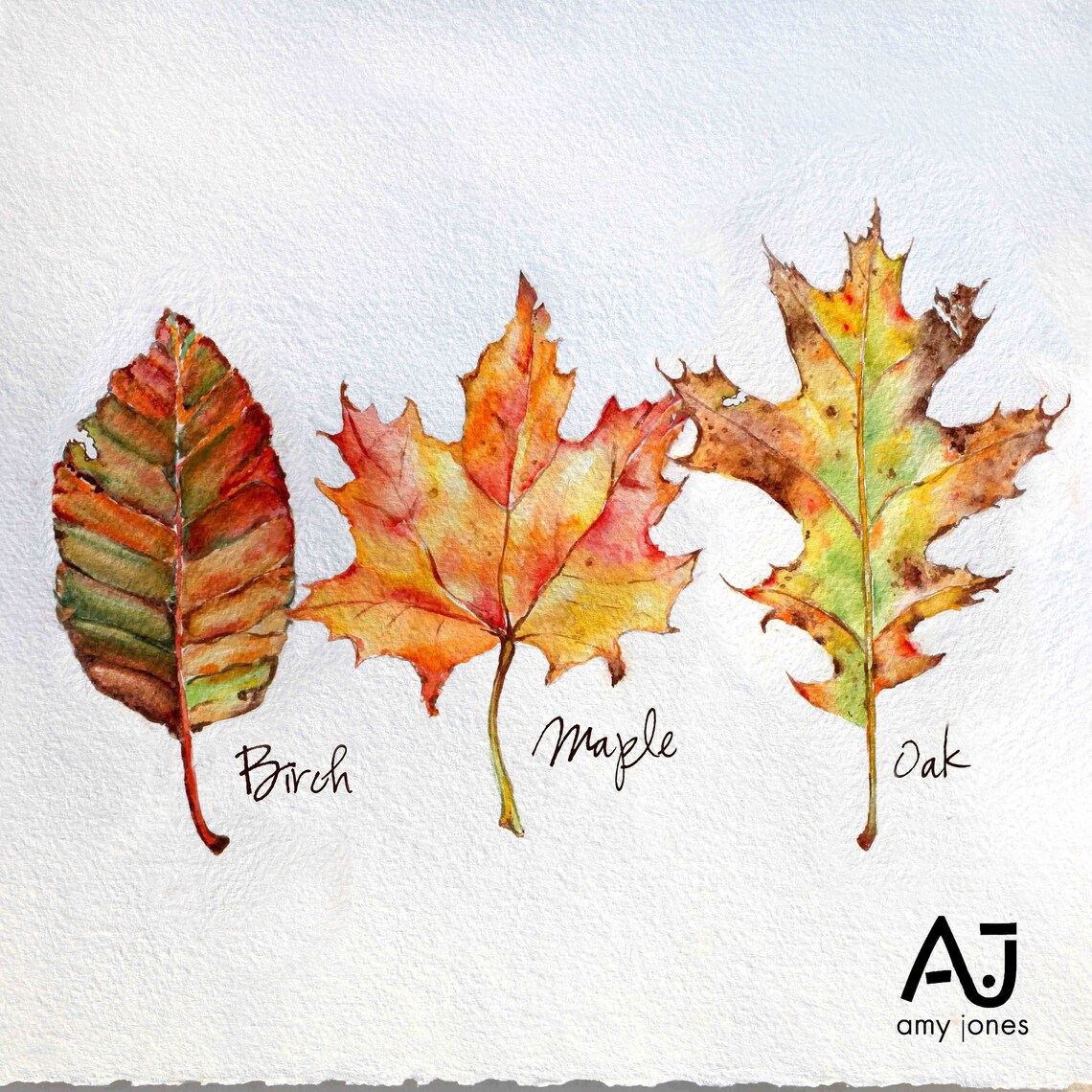 Watercolor Fall Leaves Botanical Prints - Etsy Singapore