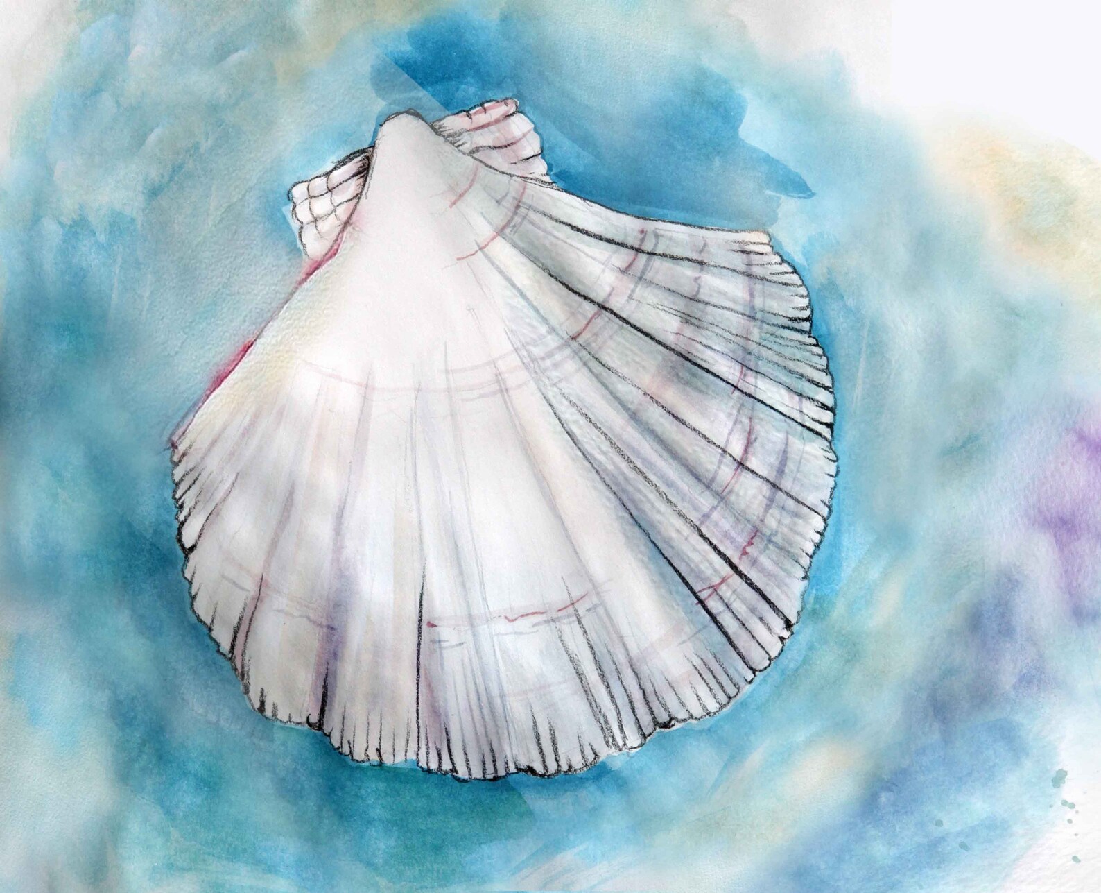 Ocean Shells Watercolor Collection Digital Download Beach - Etsy