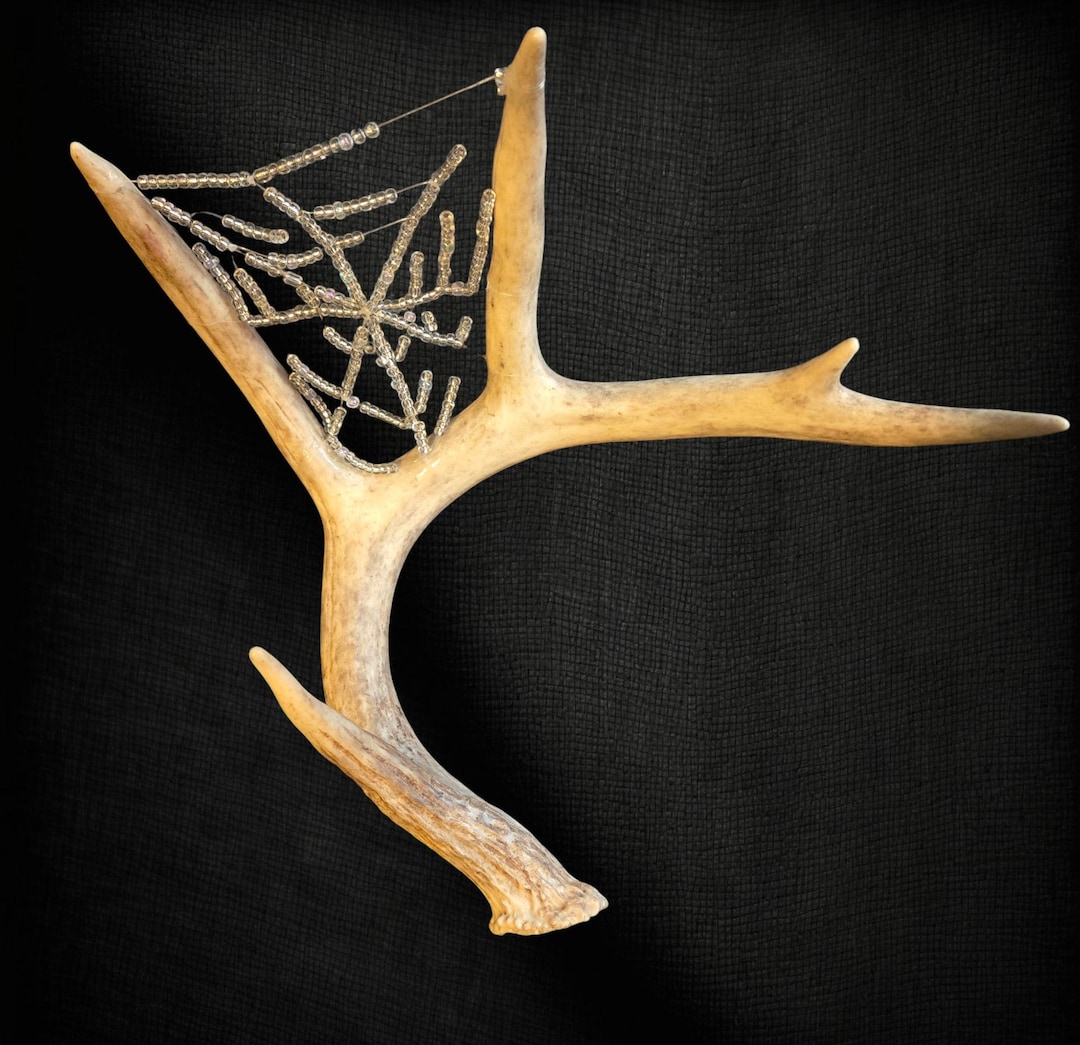 Spider Web Deer Antler - Etsy