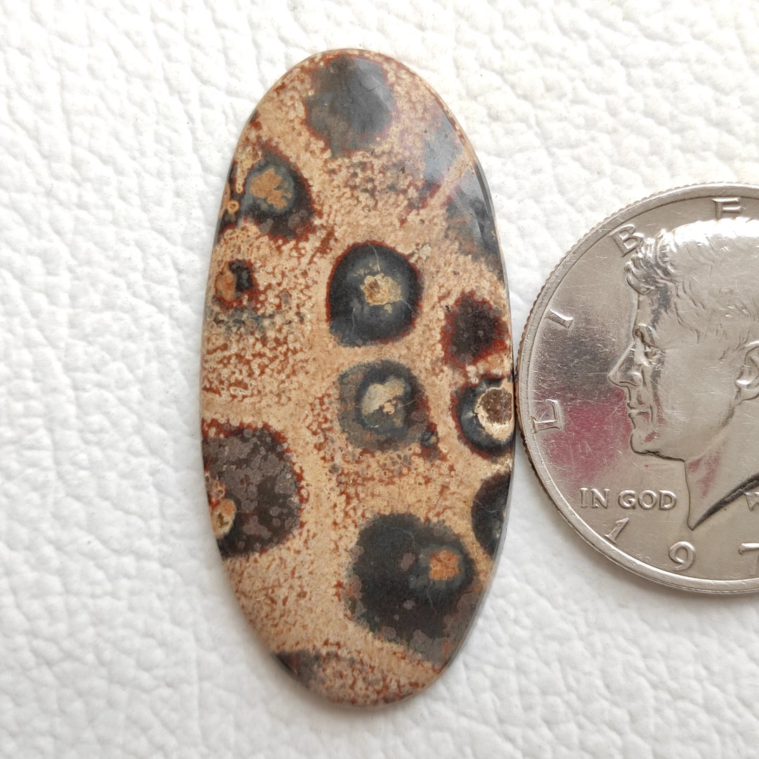 Orbicular Designer Jasper Multi Colour Viper Skin Jasper Cabochon 40ct ...