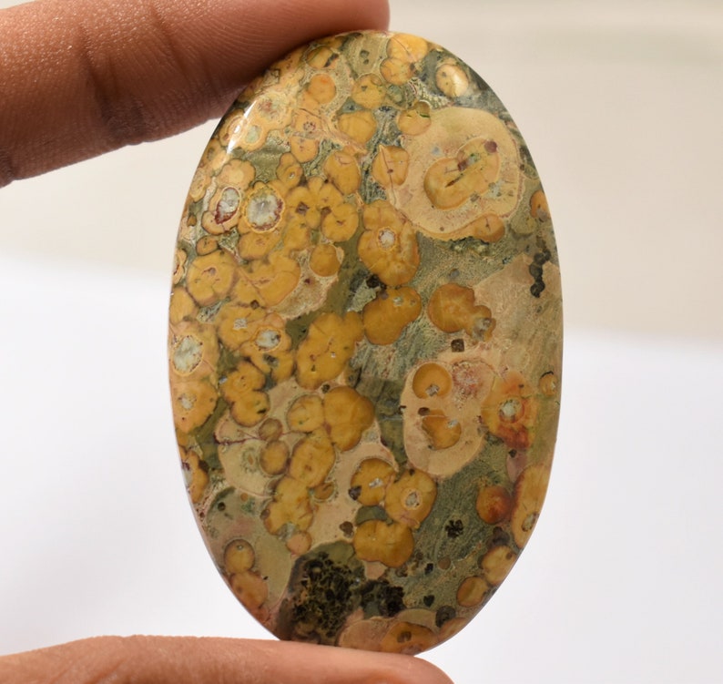 Leopard Skin Jasper Cabochon Smooth Polished Gemstone Semi - Etsy