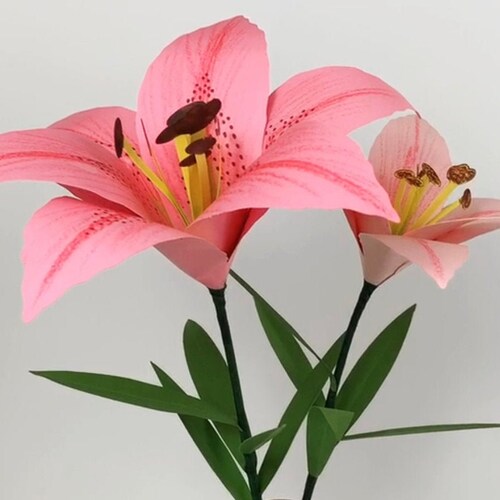 SVG PNG DXF Stargazer/lillies on a Steam Make Unlimited Small - Etsy