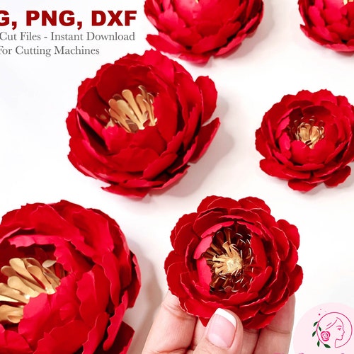 SVG PNG DXF 5 Filler Flower for Cricut and Silhouette - Etsy