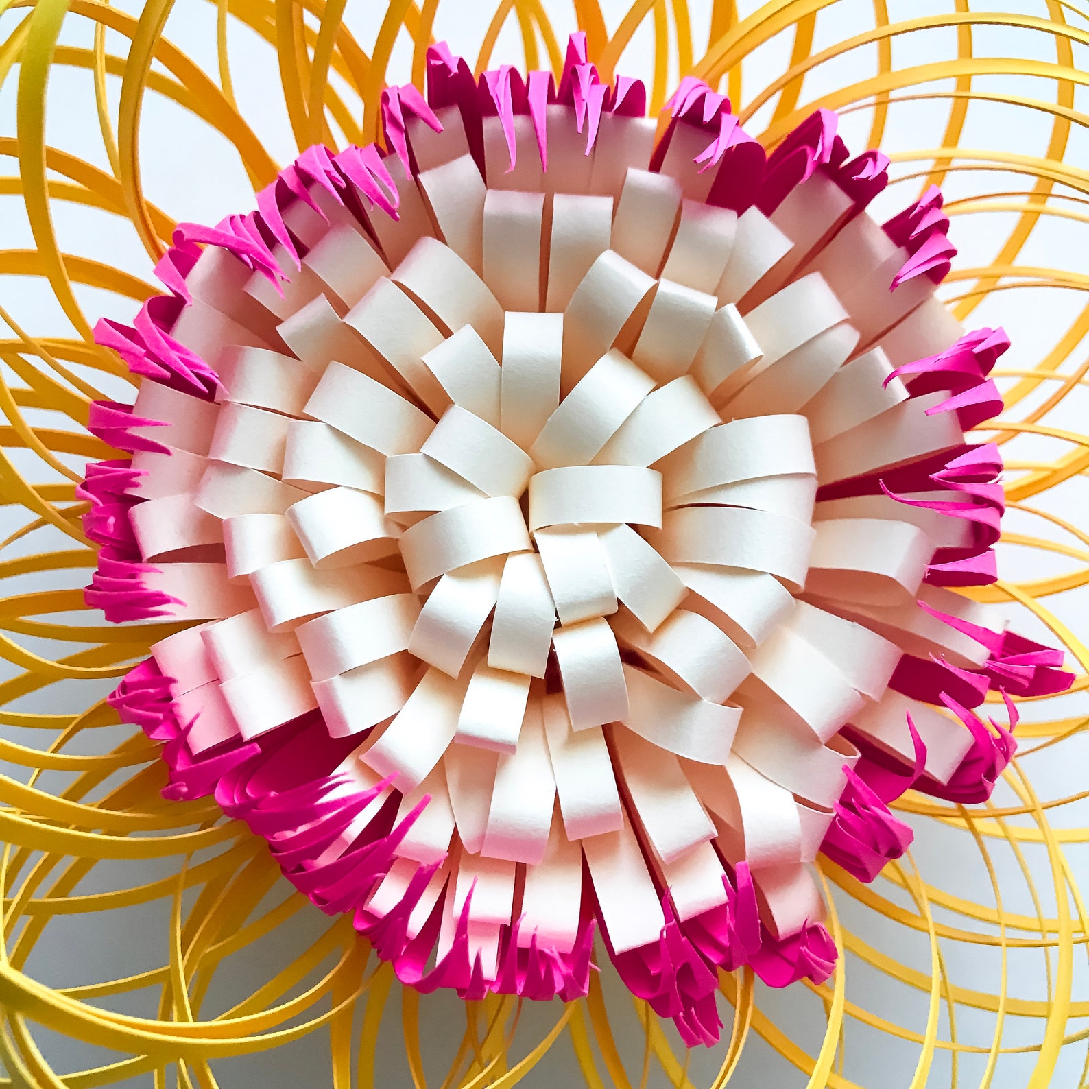 Paper Flowers -SVG/PNG Fluffy Center 2 / 3 Components: for Giant Paper ...