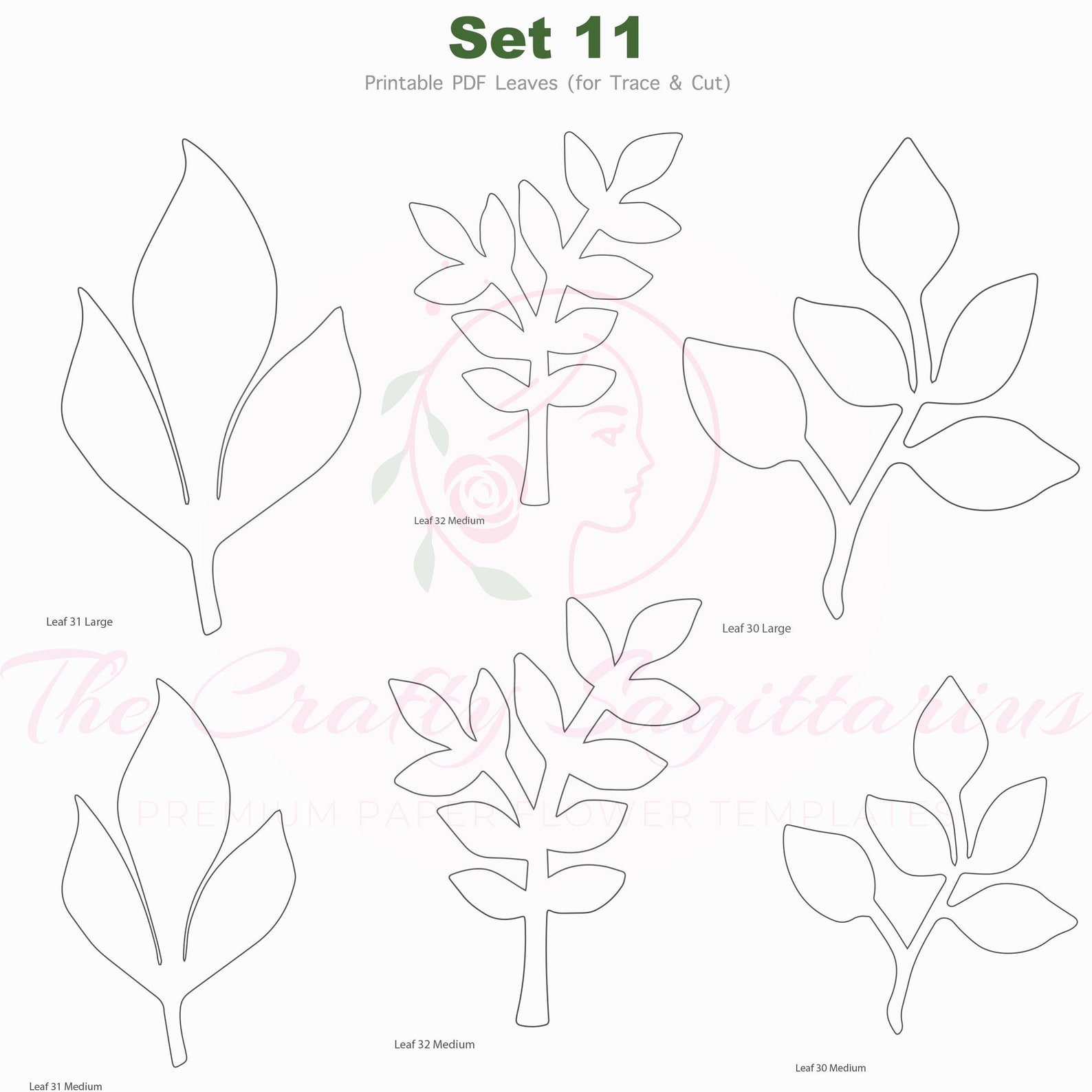 PDF Set 11 Leaves 3 Different Styles, 2 Different Sizes Easy to Trace N ...