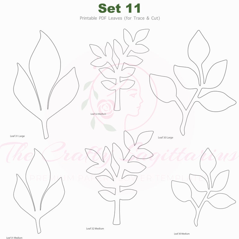 PDF Set 11 Leaves 3 Different Styles, 2 Different Sizes Easy to Trace N ...