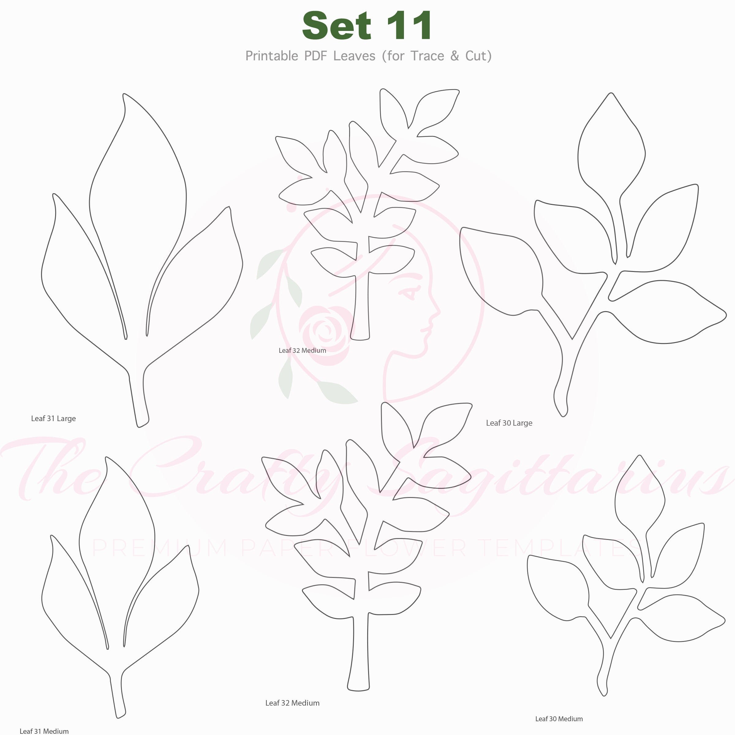 Tracing Flowers Pattern