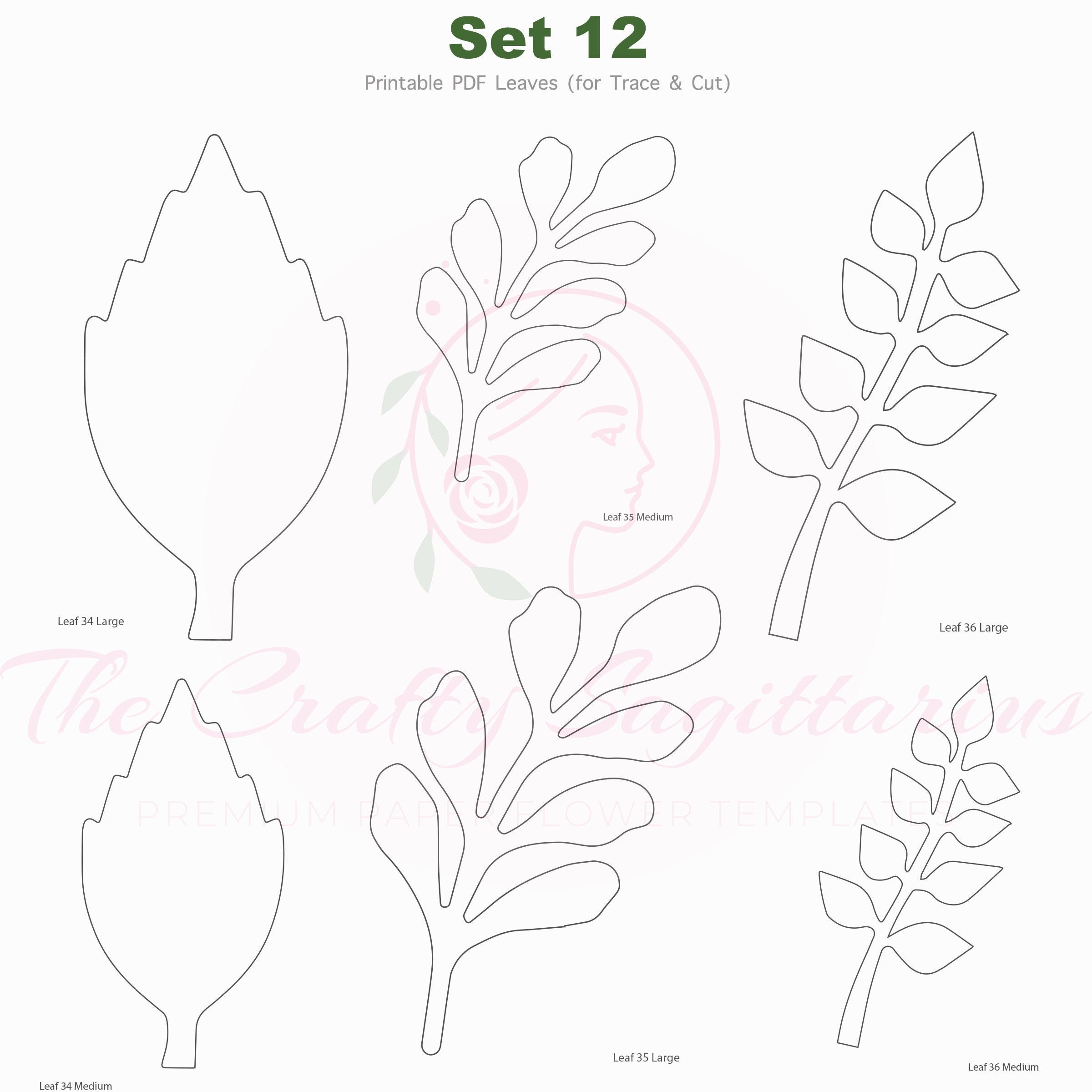 Leaf Outlines To Trace