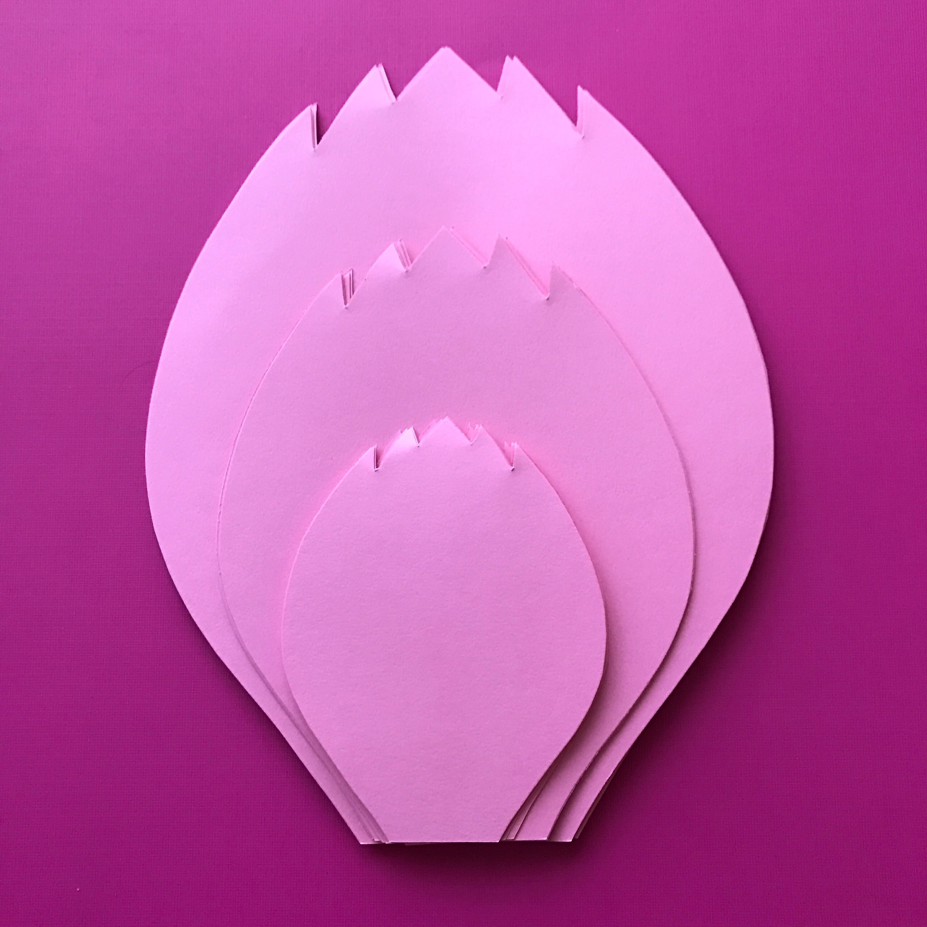 Petal 46 SVG PNG DXF Cut Vector Files for Cutting Machines Giant Paper ...