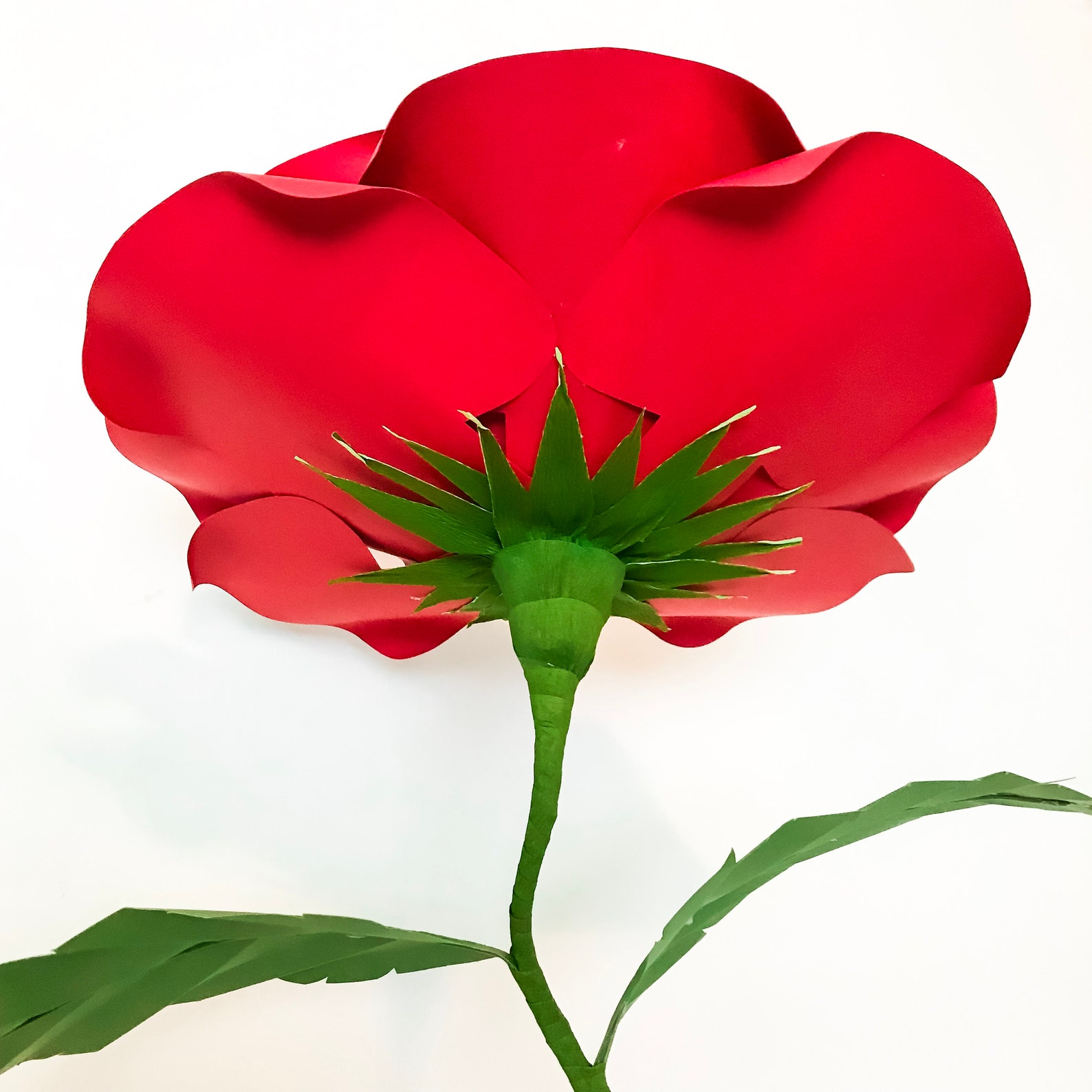 DIY Free Standing 24 Medium Rose Paper Flower Wedding | Etsy