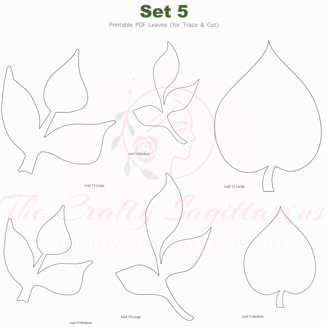 PDF Set 5 Leaves 3 Different Styles, 2 Different Sizes Easy to Trace N ...