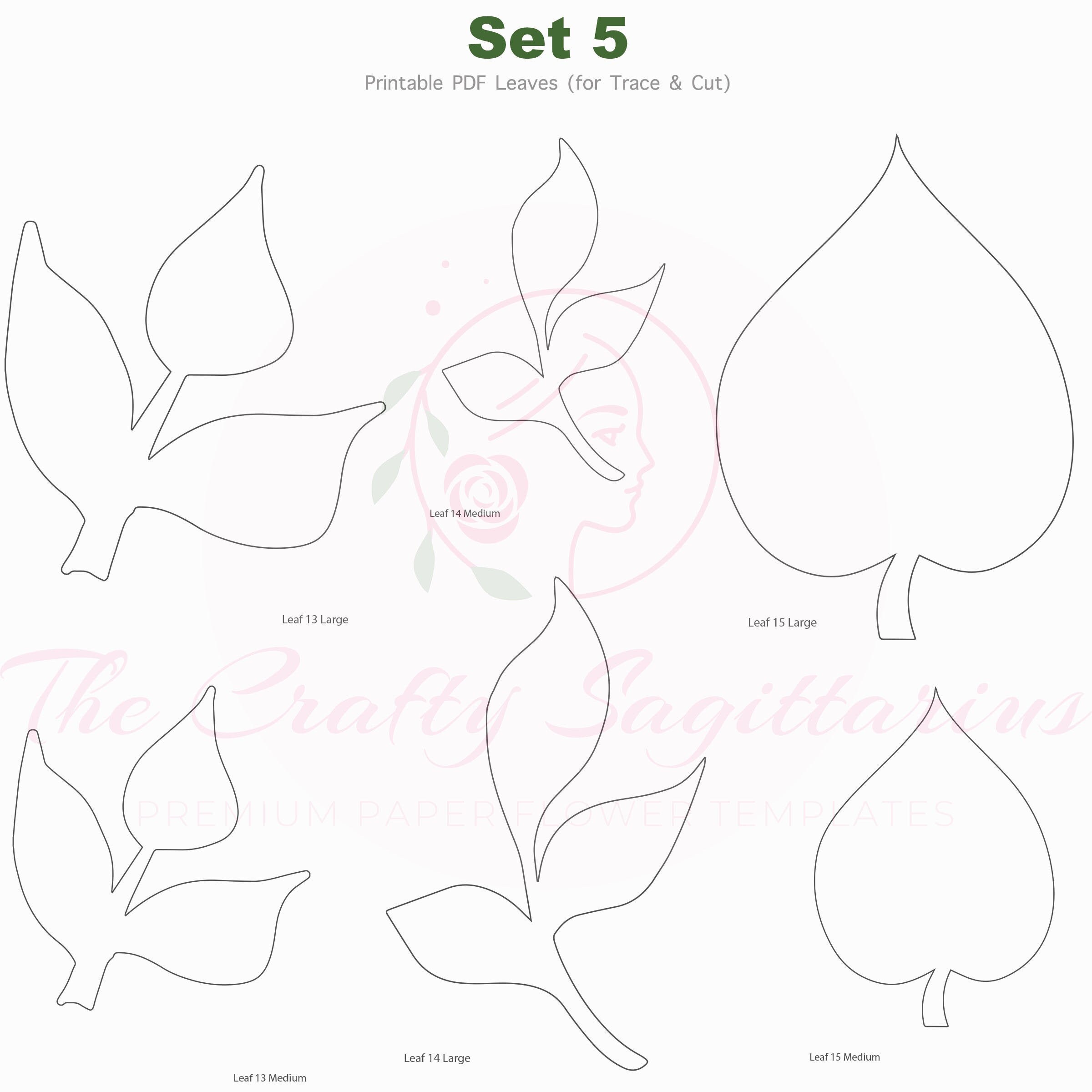 PDF Set 5 Leaves 3 Different Styles, 2 Different Sizes Easy to Trace N ...