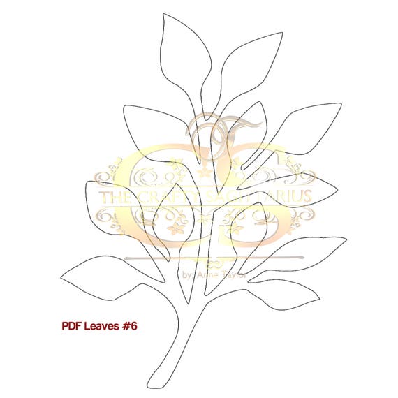 Flower Pictures To Trace