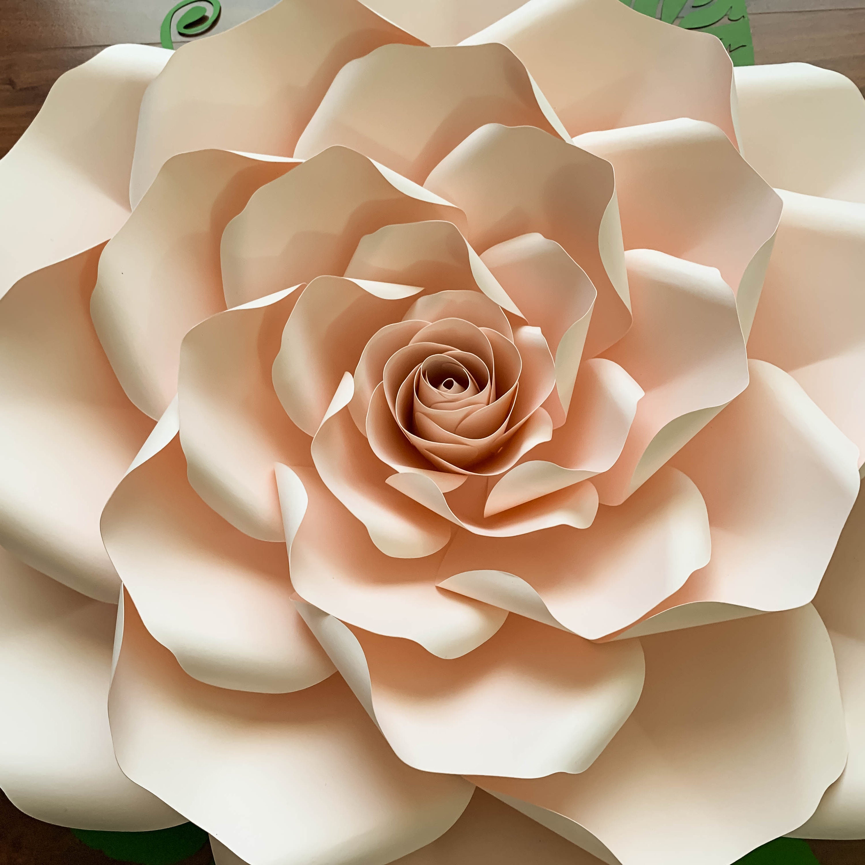 PDF Petal 28 Printable Flower Template With Base, DIGITAL Instant ...