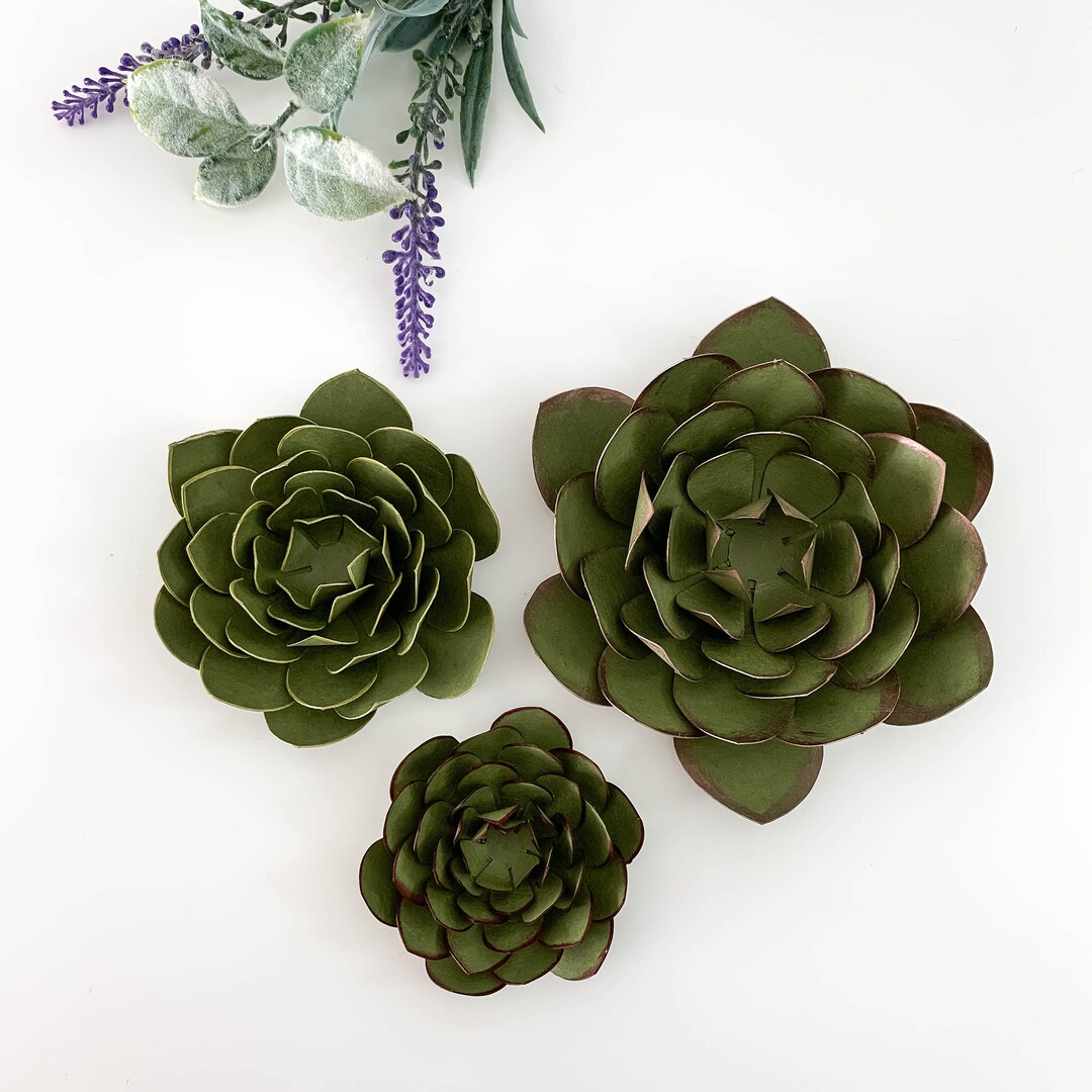 PDF Succulent Printable Paper Flowers Templates 3d and DIY Paper Flower ...