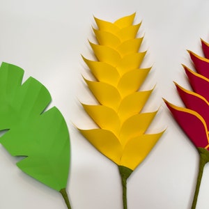 PDF Birch of Paradise Tropical Flower Paper Flower Template, Handcut ...