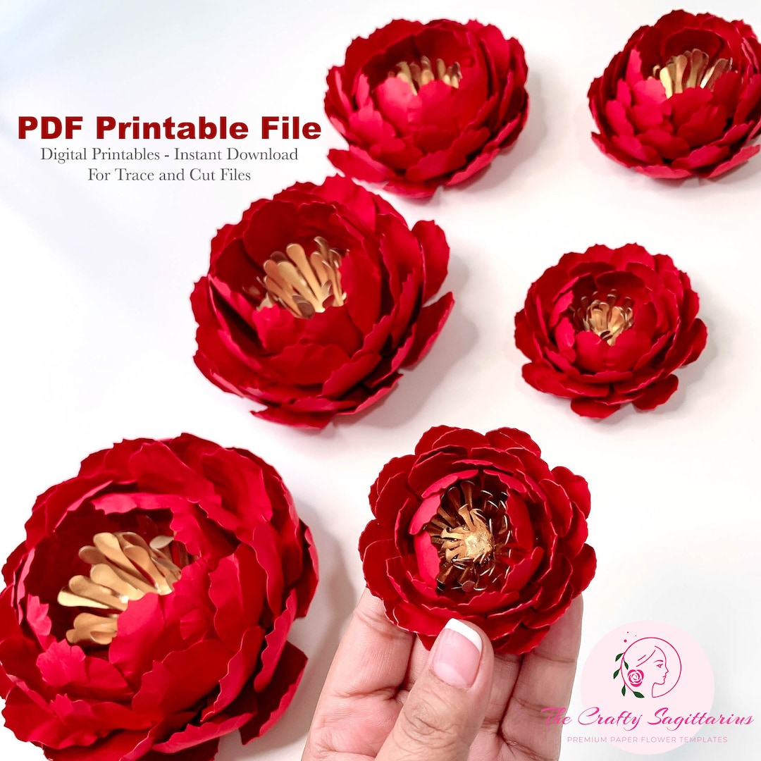 6 Sizes Bella Mini Peony Paper Flower Templates in Printable PDF Trace ...