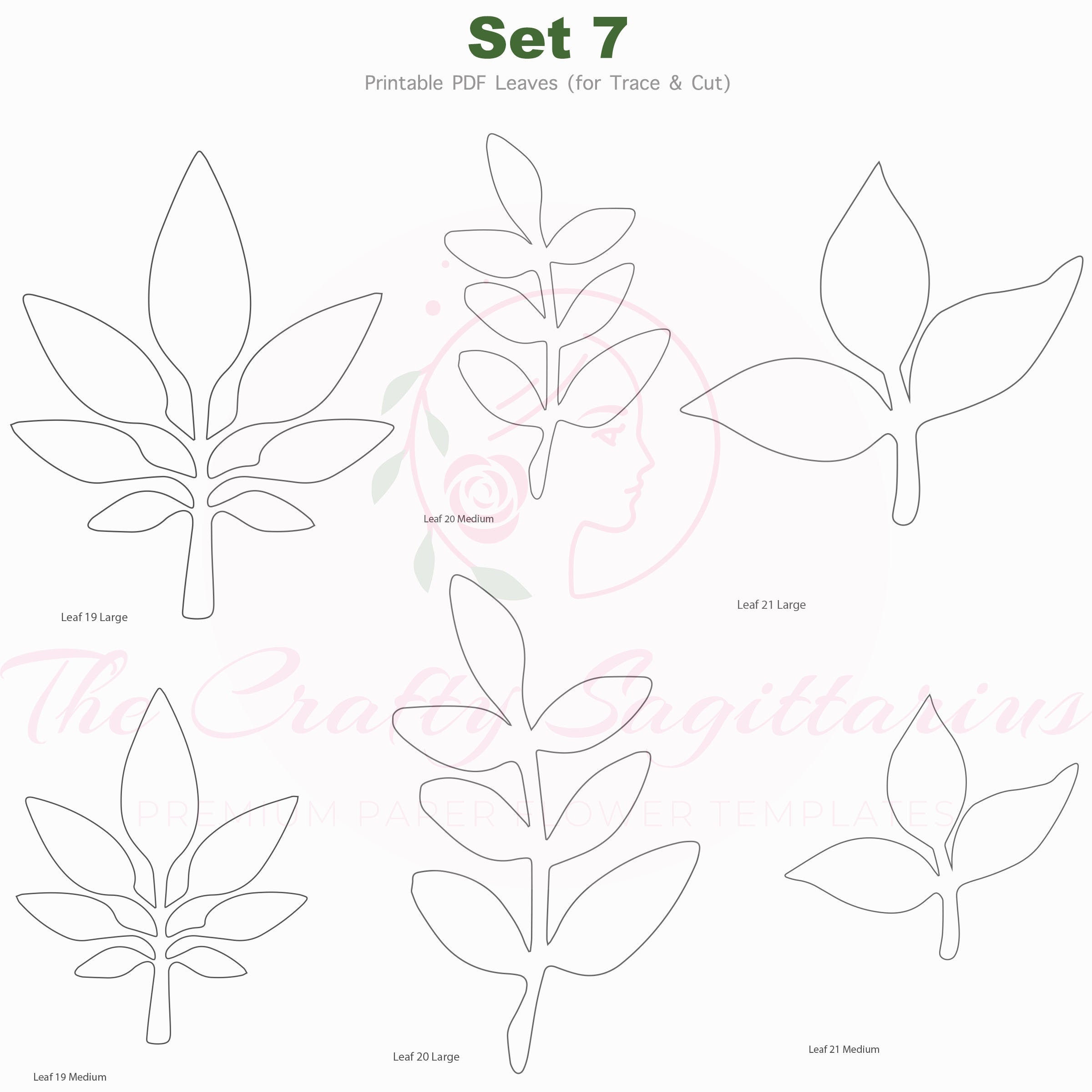 Tracing Flowers Pattern