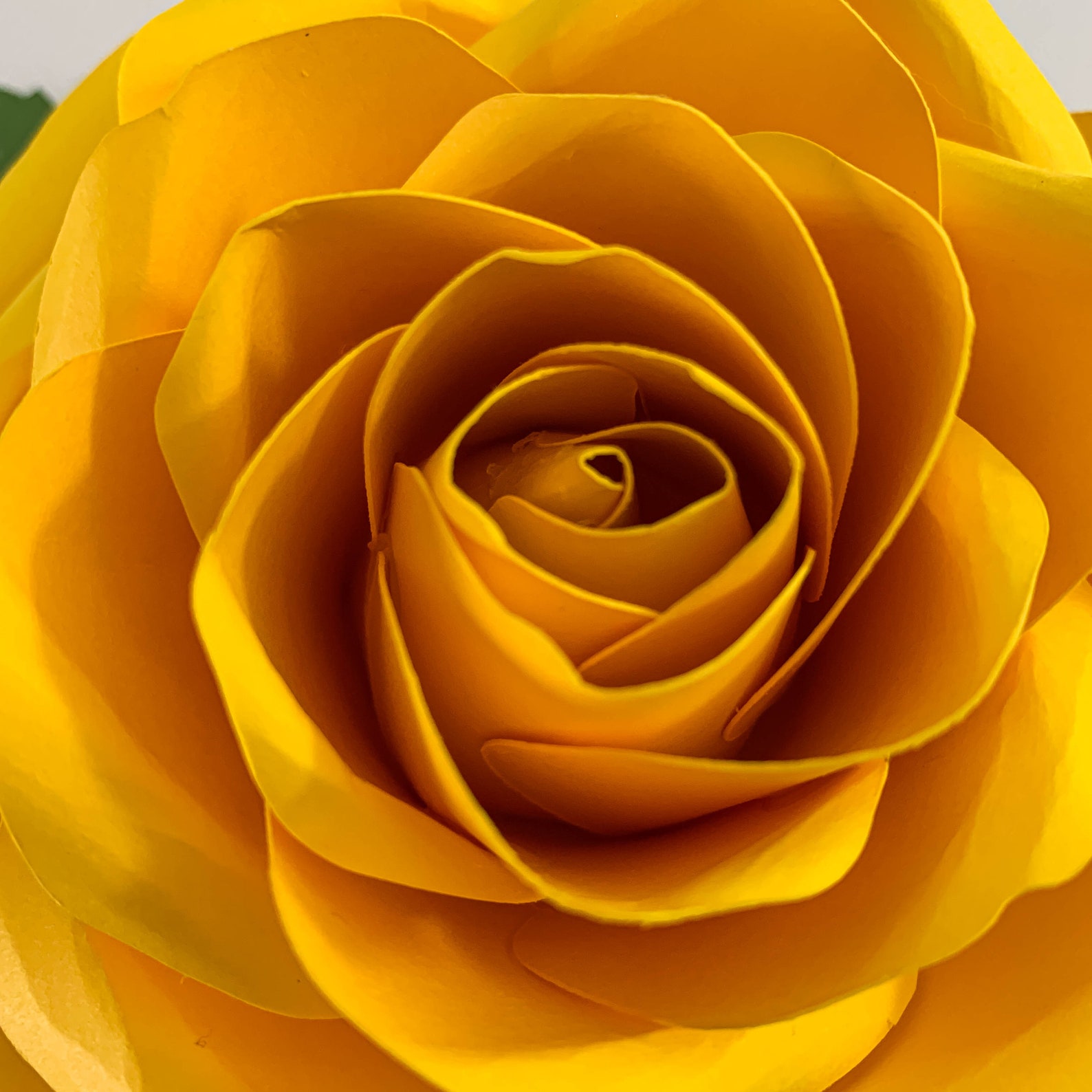 SVG Paper Flowers Tiny Rose 8 Template in Multiple Sizes - Etsy